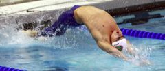 Peter E Carney - Swimming Experience